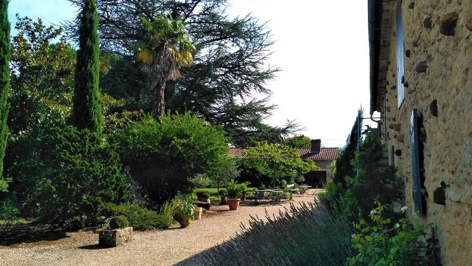 Rodzaje ogrodów, jaki styl wybrać? - Allegro.pl