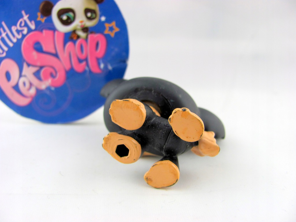 LPS Littlest pet shop chihuahua pies # 1571 UNIKAT - 7656178746 ...
