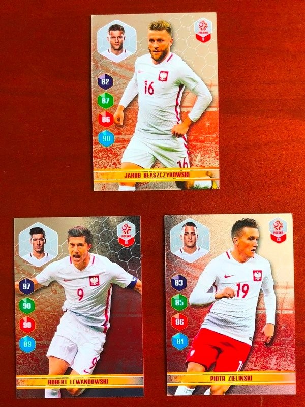 Karty Dumni z naszych Biedronka 2018 - 7393365343 - oficjalne archiwum ...